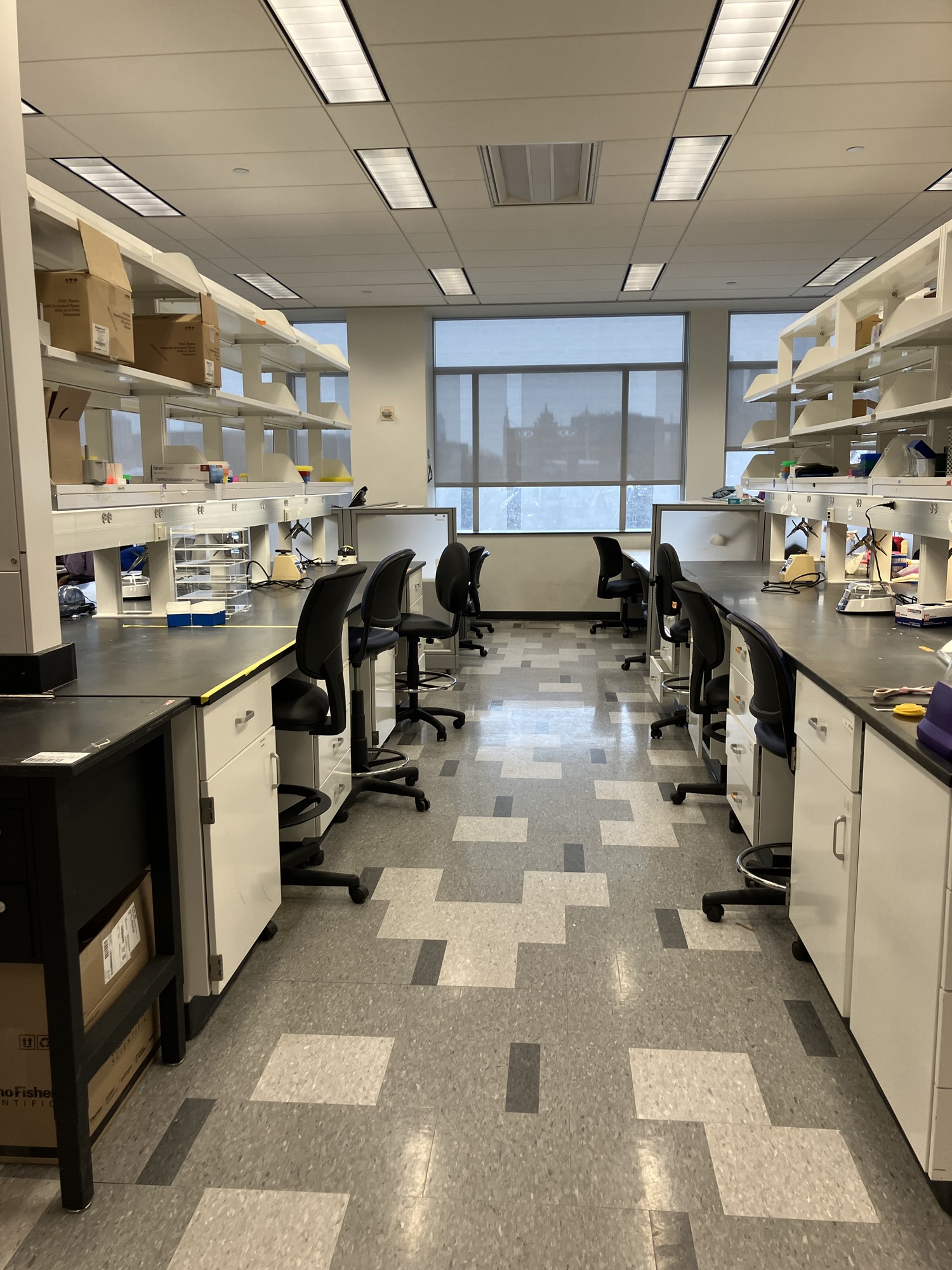 About – Tissue Immune and Immune Priming Lab